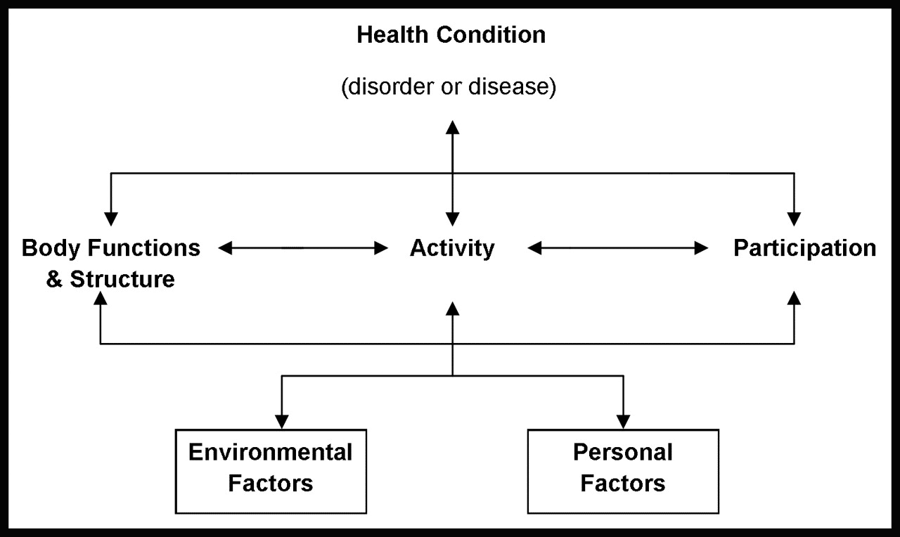 The International Classification Of Functioning, Disability And Health ...
